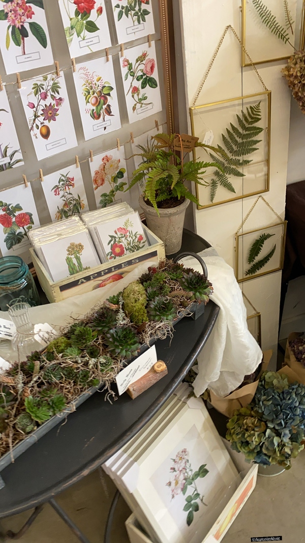 Summer Market – Fleurs Creative